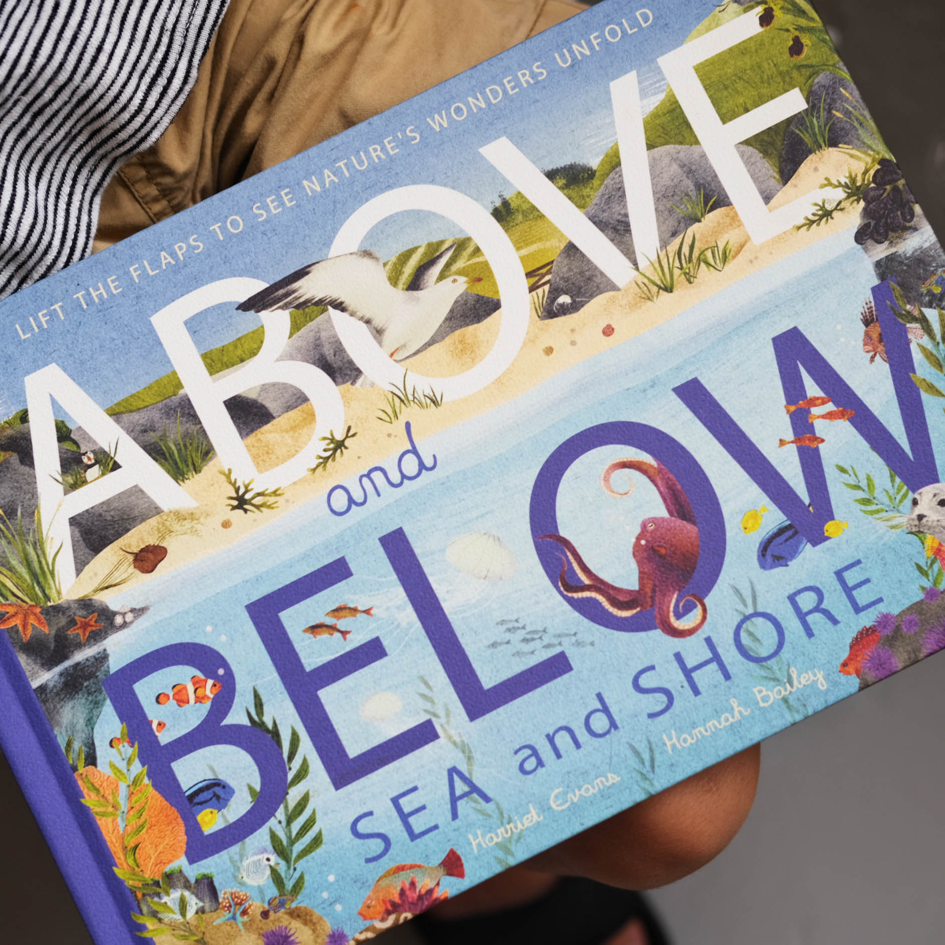Above and Below: Sea and Shore Lift the flaps – Oh Happy Fry