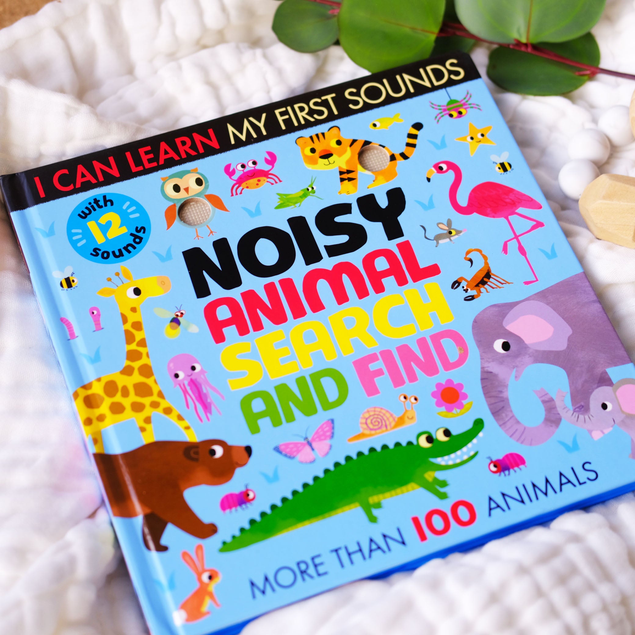Noisy Animal Search and Find (Sound Book) – Oh Happy Fry